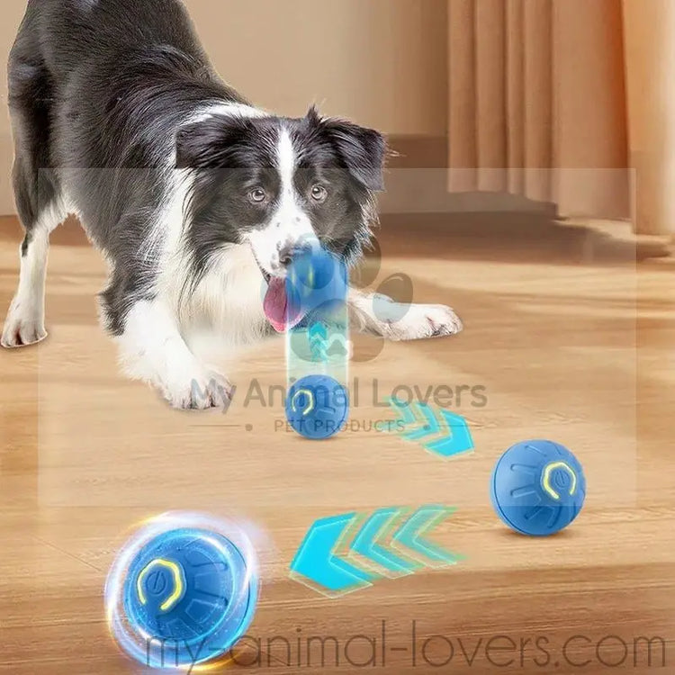 My Animal Lovers - PET PRODUCTS